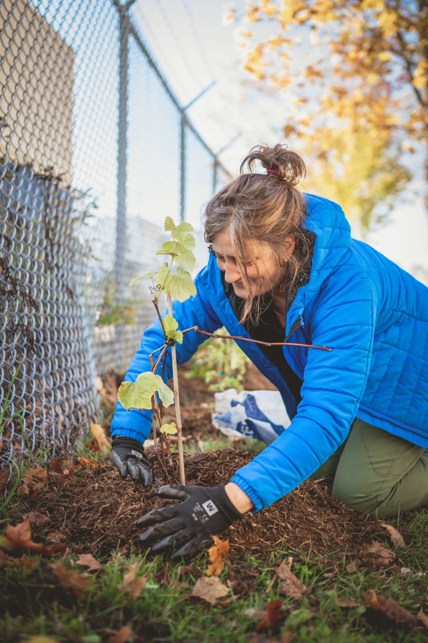 Impact Assessment and Mitigation Process (IAMP) - Port of Quebec